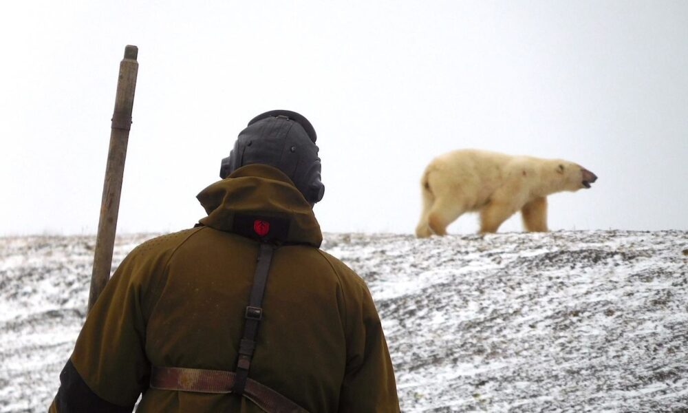Russia discovers 511 billion barrel oil reserve in Antarctica, sparking ...