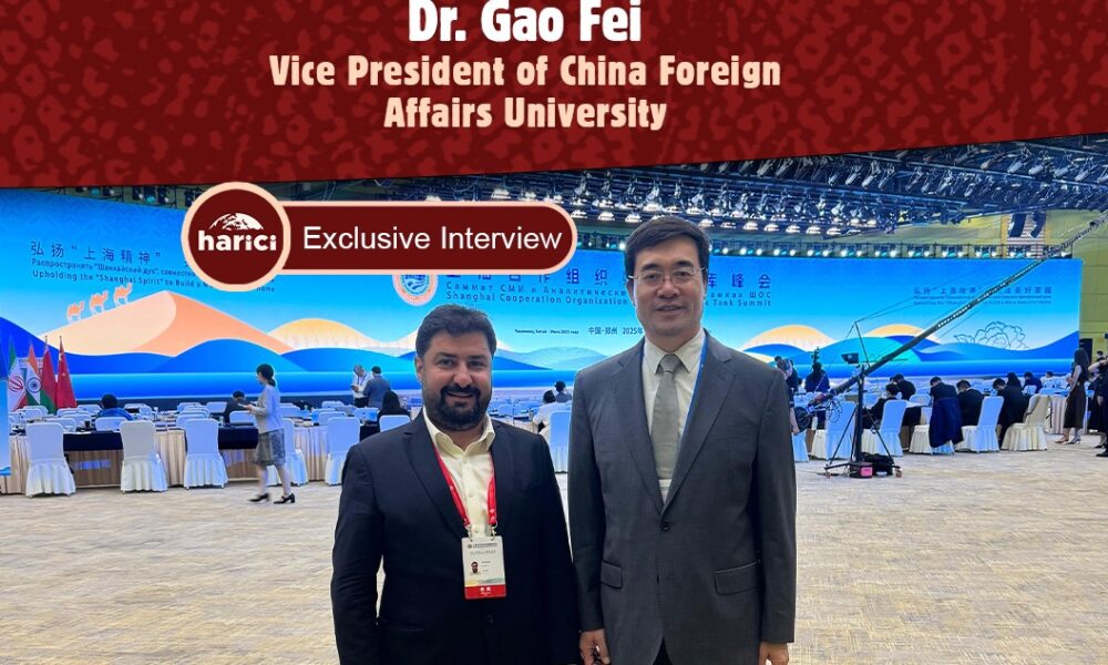 An Interview with Chinese Professor Gao Fei: From the EU to Russia ...