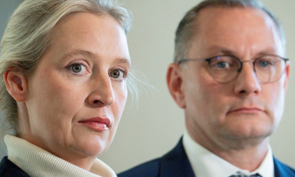 AfD faces internal rift over compulsory military service demand - Harici