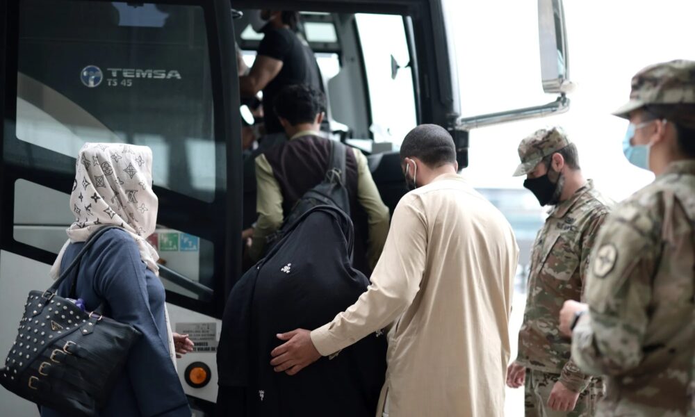 Congressional oversight News - Harici